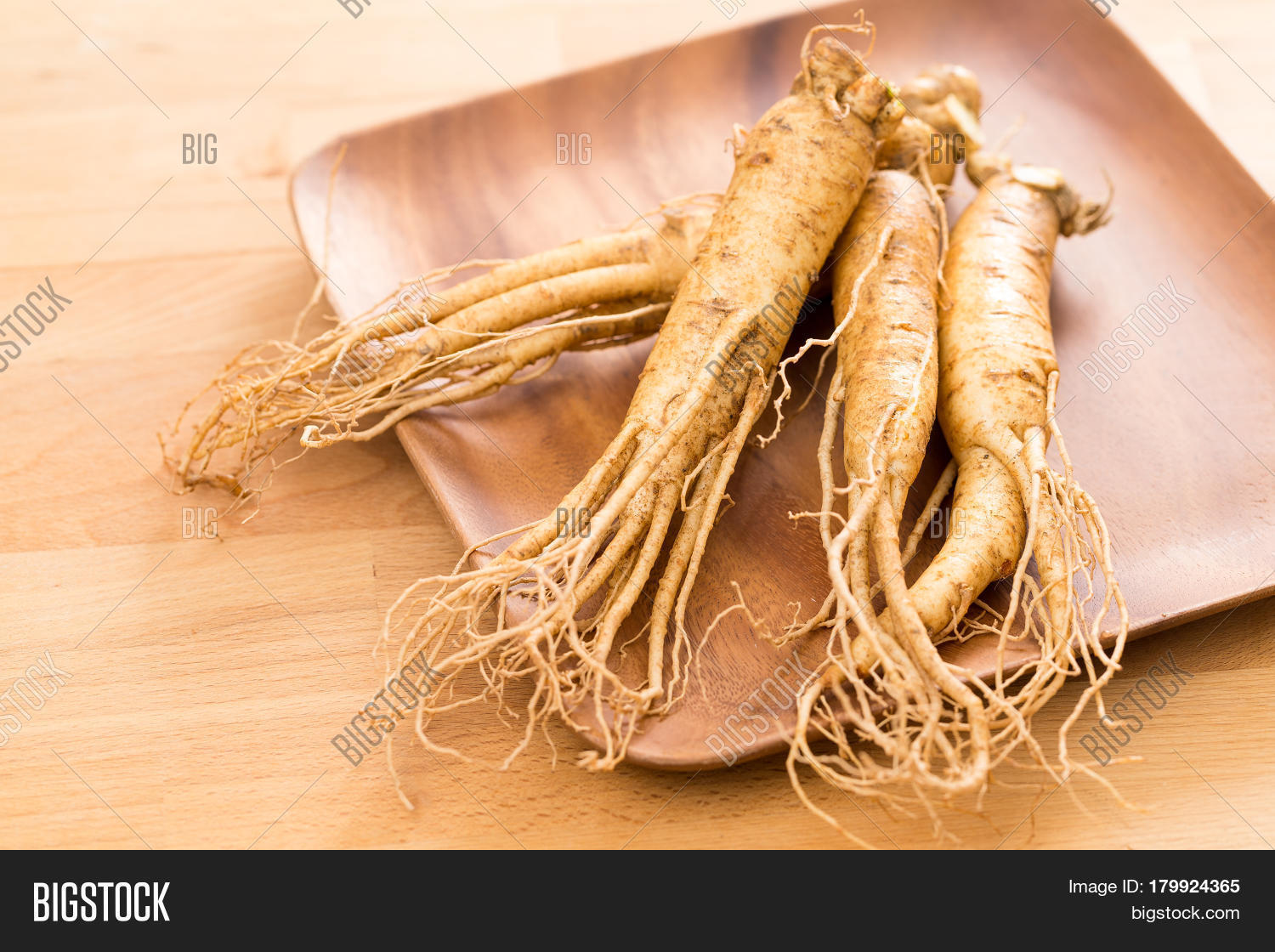 Ginseng Root Over Image & Photo (Free Trial) | Bigstock