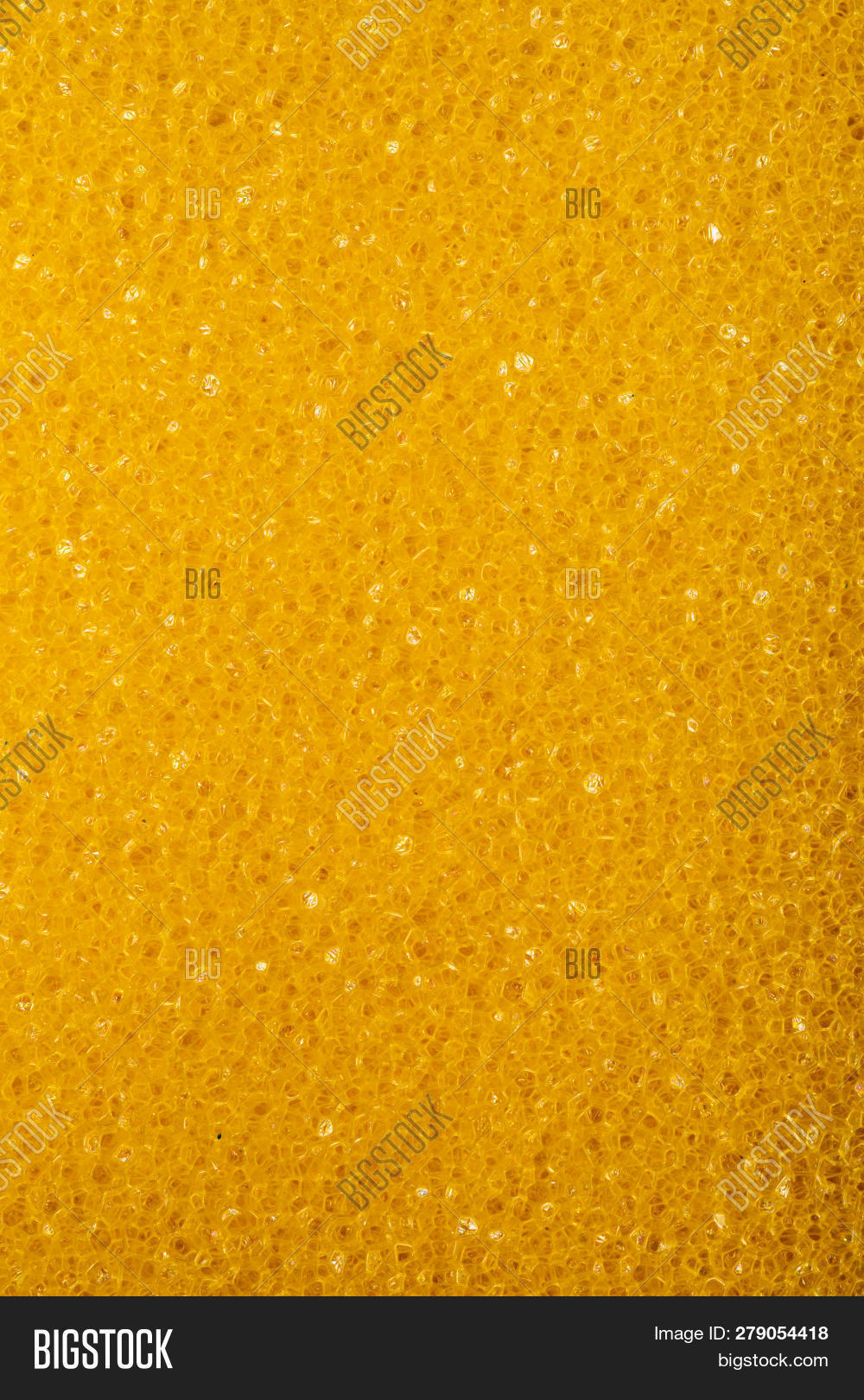 Porous Texture Sponge Image & Photo (Free Trial) | Bigstock