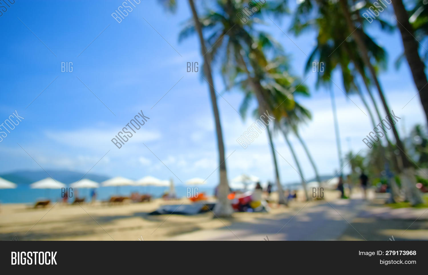Blur View Beach, Palm Image & Photo (Free Trial) | Bigstock