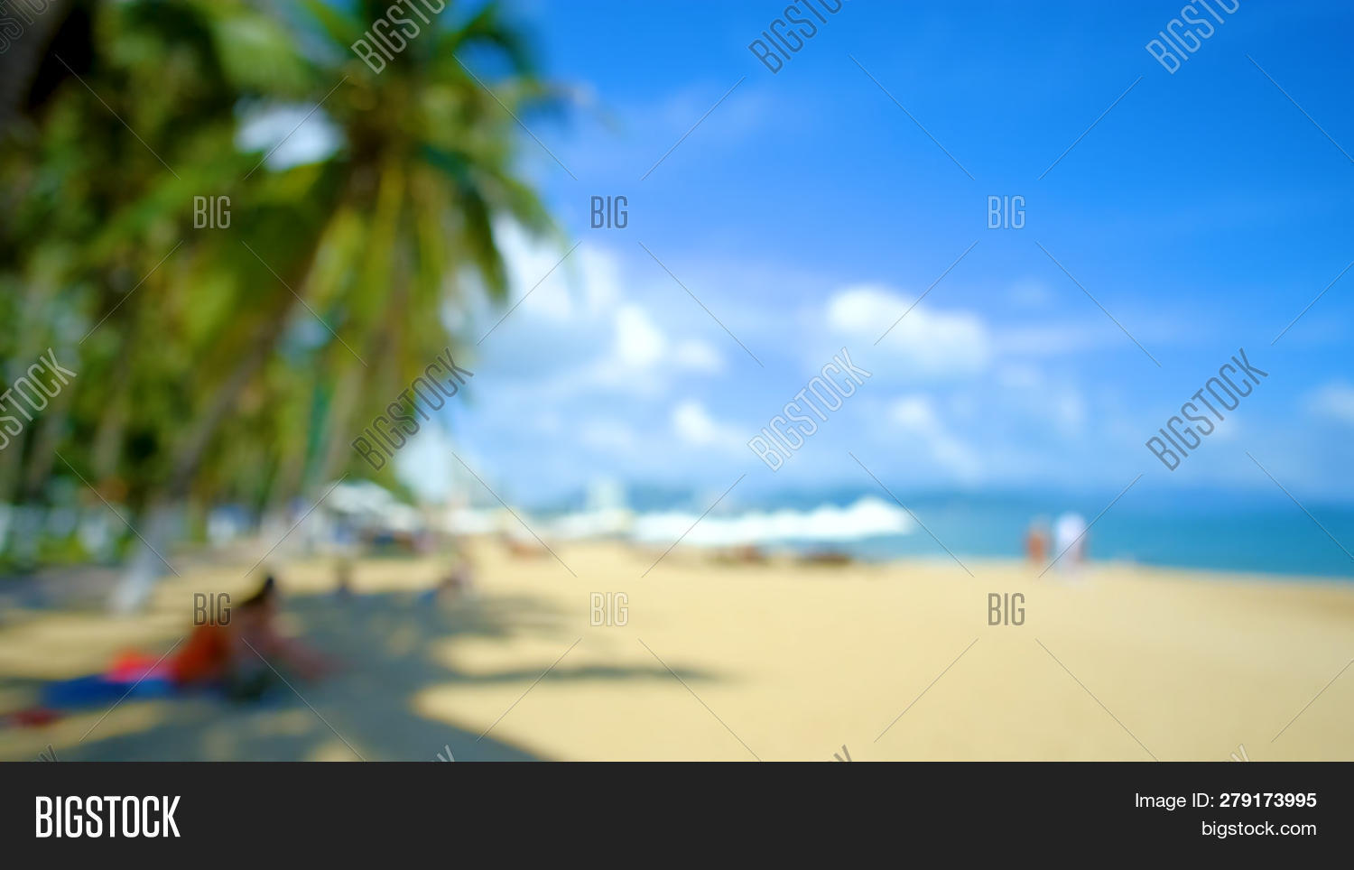 Blur View Beach, Palm Image & Photo (Free Trial) | Bigstock