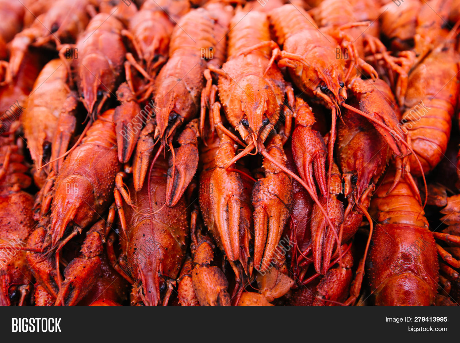 Large Boiled Red Image & Photo (Free Trial) | Bigstock