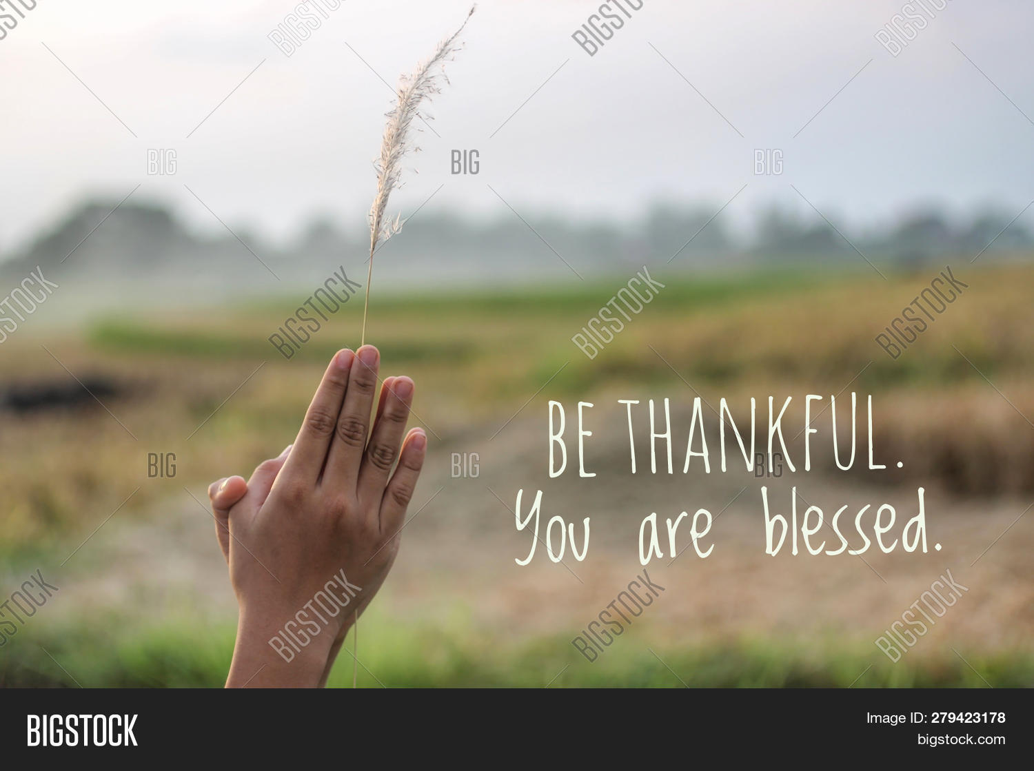 Thankful Inspirational Image & Photo (Free Trial) | Bigstock