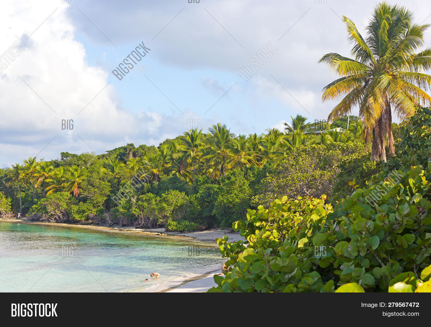 Small Sandy Beach Image & Photo (Free Trial) | Bigstock