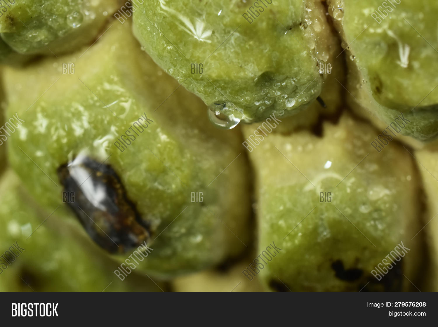 Exotic Brazilian Fruit Image & Photo (Free Trial) | Bigstock