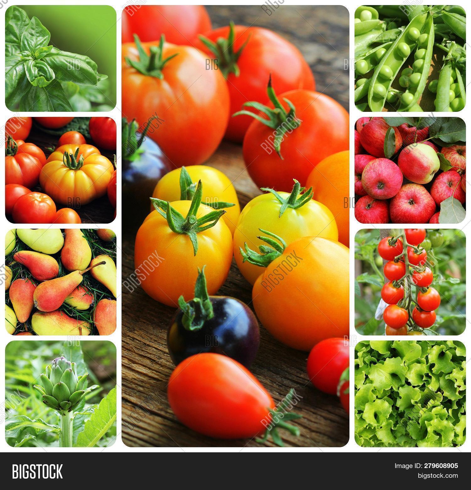 Collage Vegetables Image & Photo (Free Trial) | Bigstock