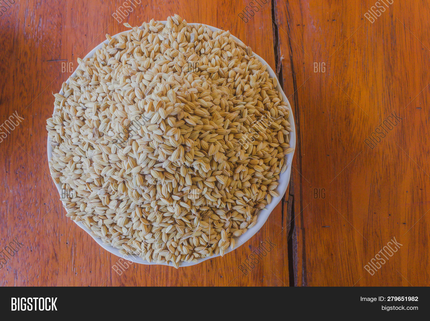 Paddy Unhusked Rice Image & Photo (Free Trial) | Bigstock