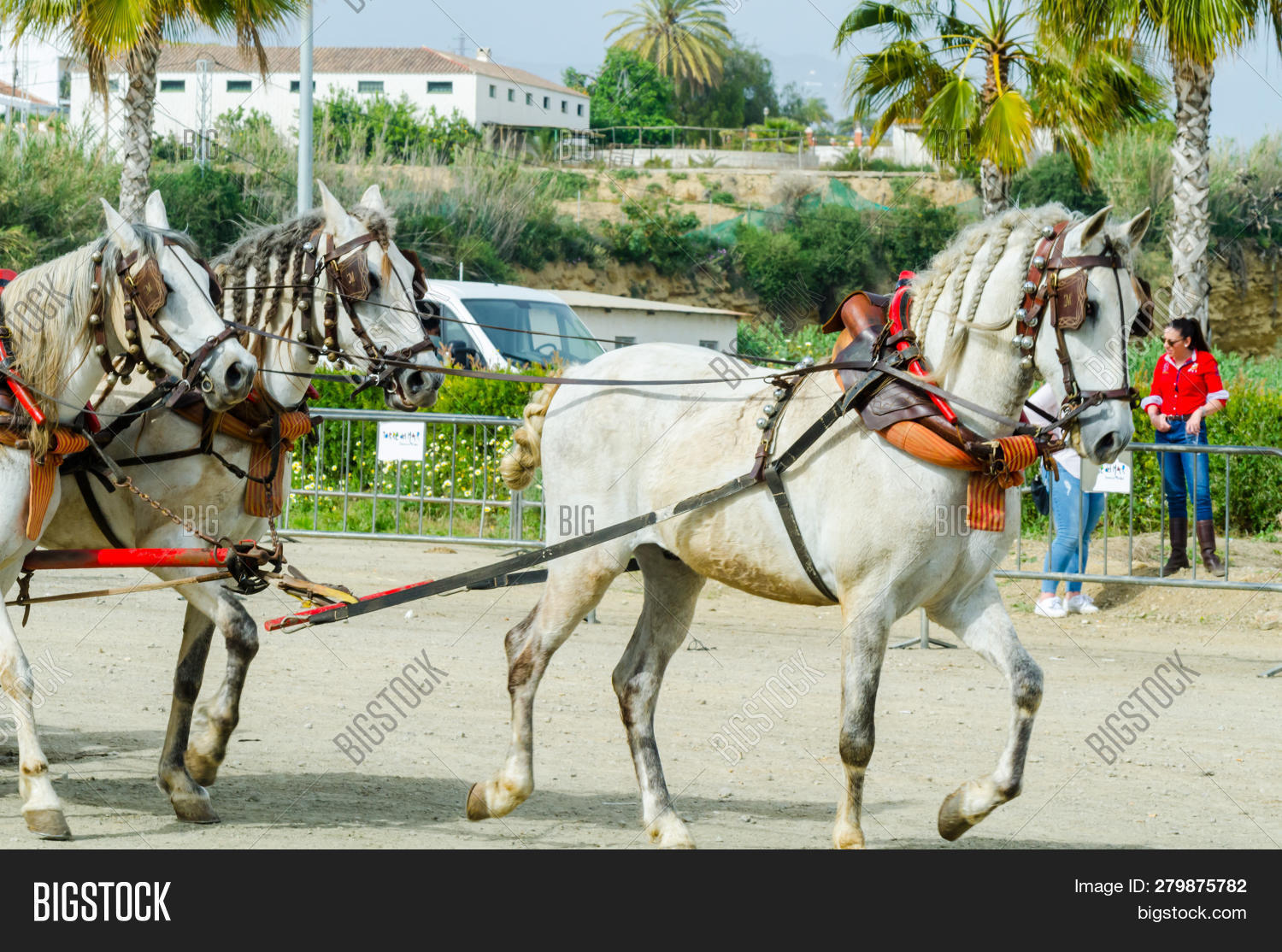 Almayate, Spain - Image & Photo (Free Trial) | Bigstock