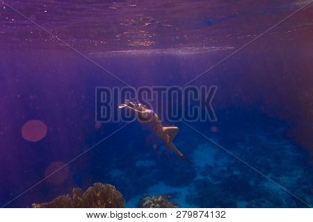 Woman Diving Into Water Images, Illustrations & Vectors (Free) - Bigstock