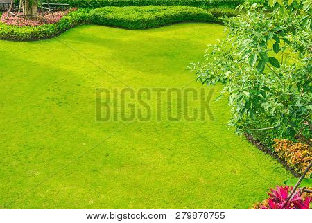 Green Lawn, Front Lawn Image & Photo (Free Trial) | Bigstock