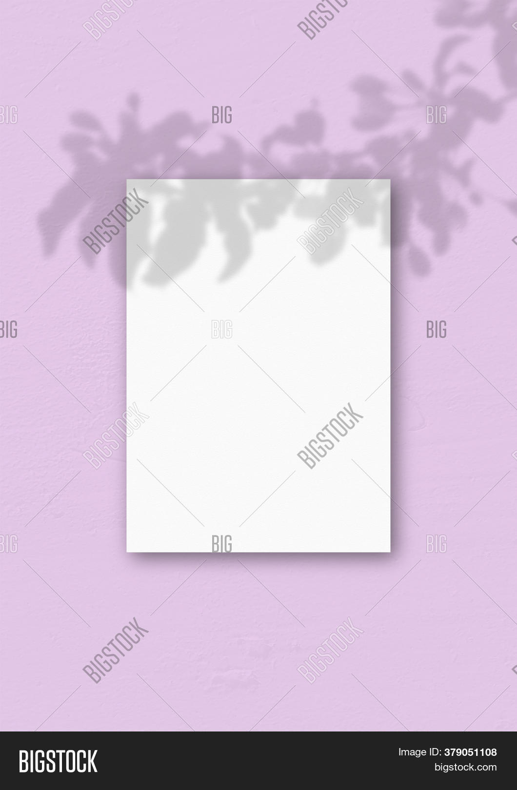 Vertical Sheet White Image & Photo (Free Trial) | Bigstock
