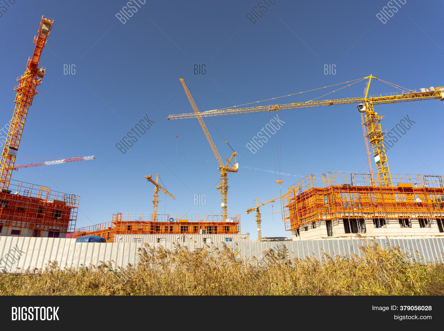 Modern Standardization Image & Photo (Free Trial) | Bigstock