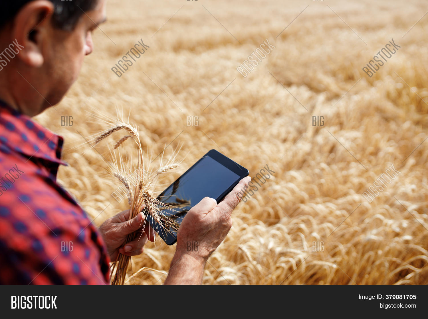Back View Farmer Image & Photo (Free Trial) | Bigstock