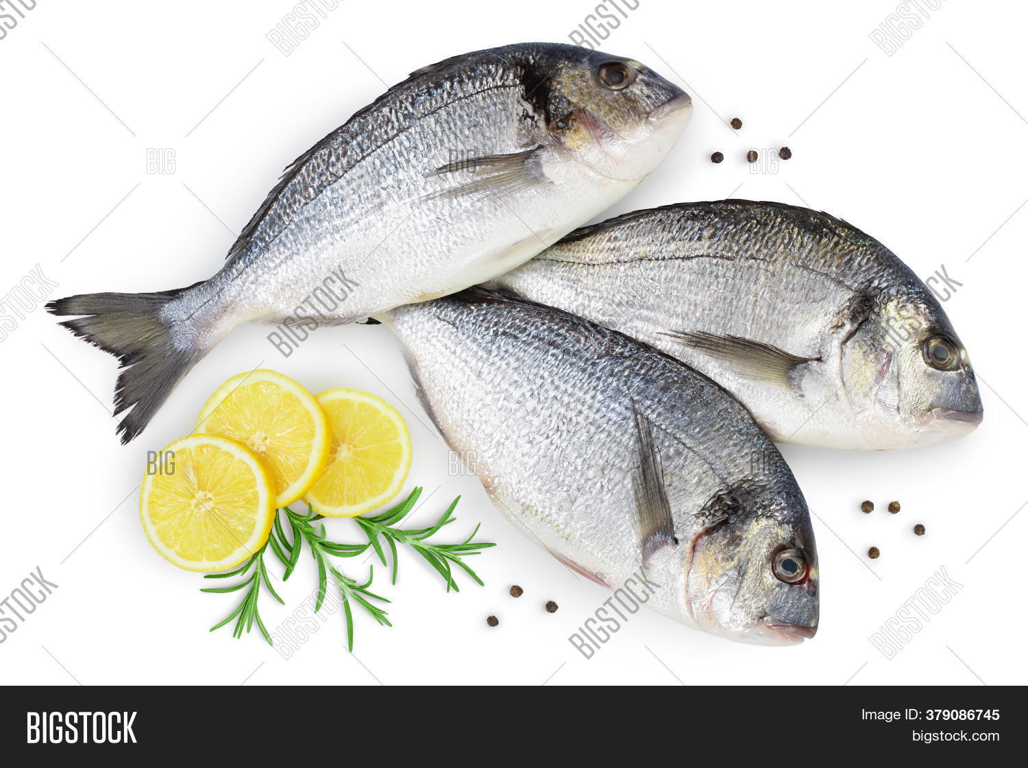 Fish Dorado Isolated Image & Photo (Free Trial) | Bigstock