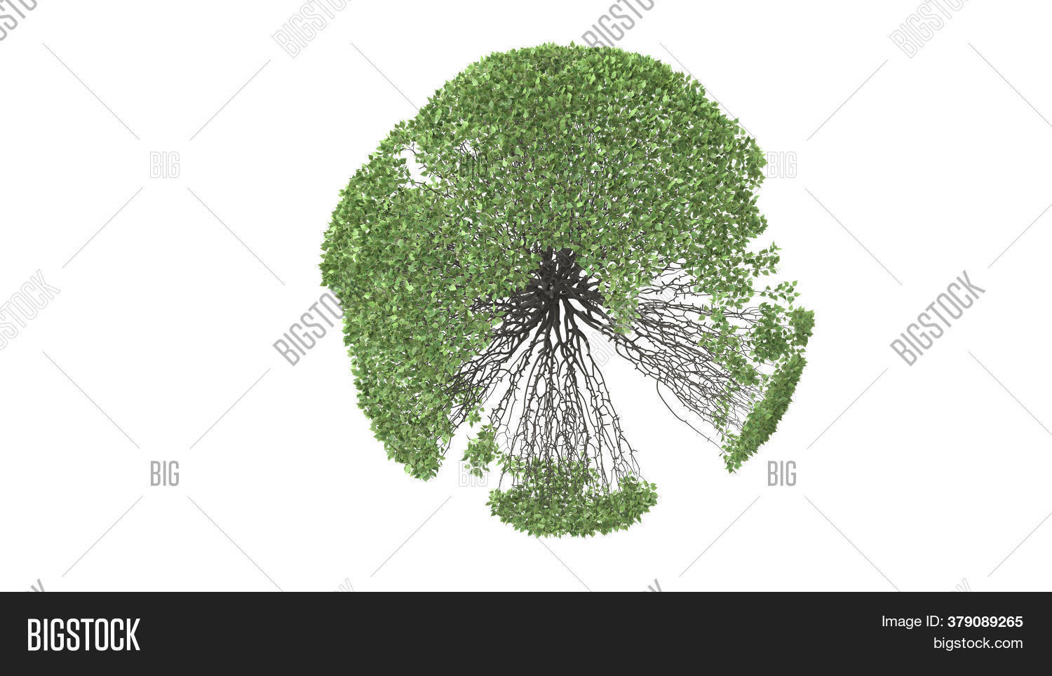Growing Tree, Forming Image & Photo (Free Trial) | Bigstock