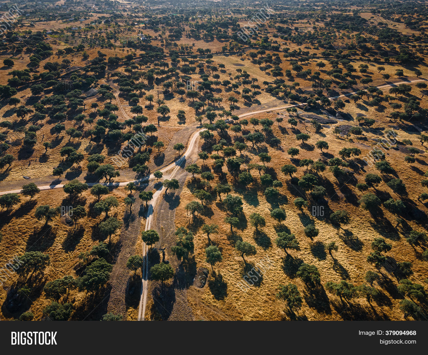 Landscape Dehesa De La Image & Photo (Free Trial) | Bigstock