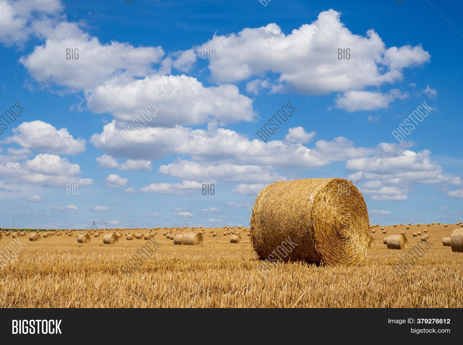 Hay Bales On Field Image & Photo (Free Trial) | Bigstock