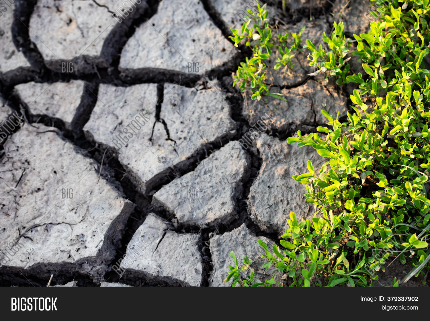 Cracked Dried Earth Image & Photo (Free Trial) | Bigstock