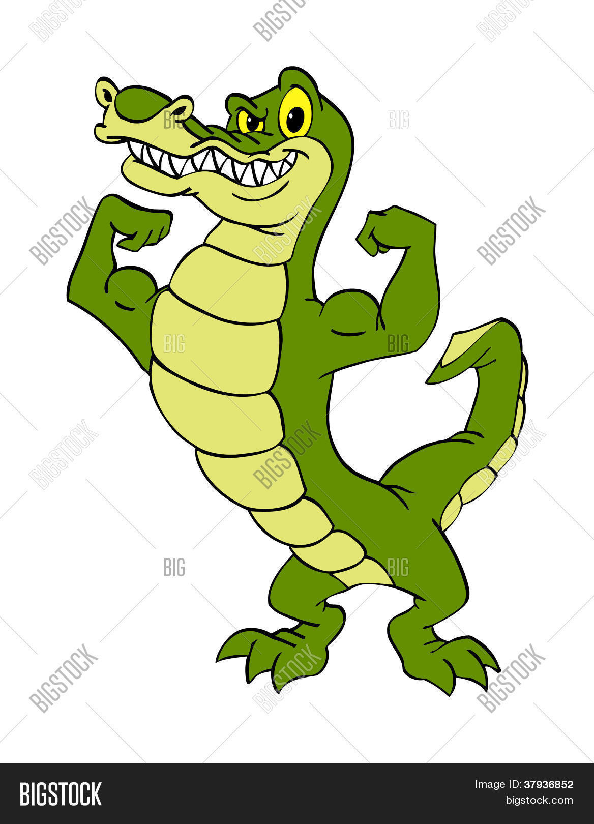 Alligator Image & Photo (Free Trial) | Bigstock