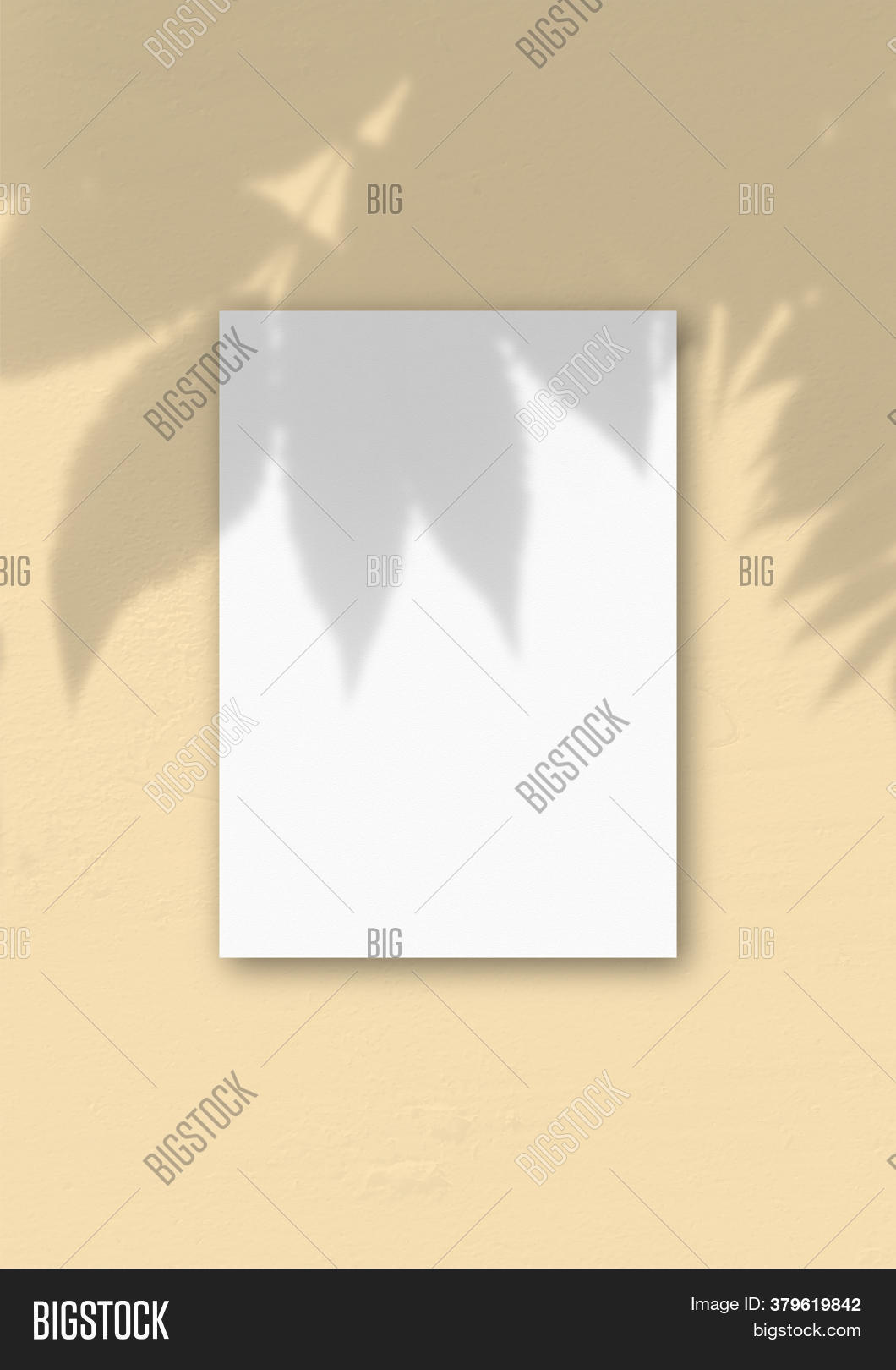 Vertical Sheet White Image & Photo (Free Trial) | Bigstock