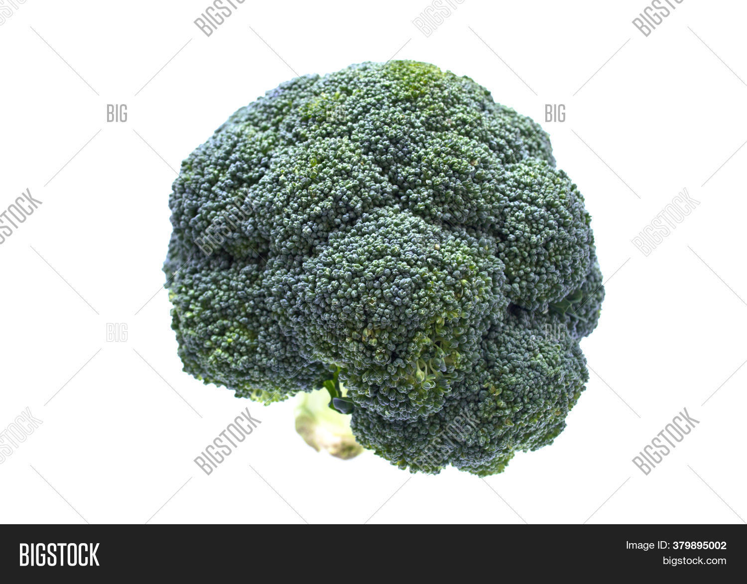 Fresh Green Broccoli Image & Photo (Free Trial) | Bigstock