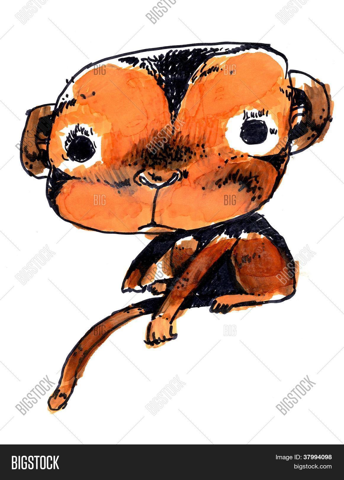 Monkey Image & Photo (Free Trial) | Bigstock