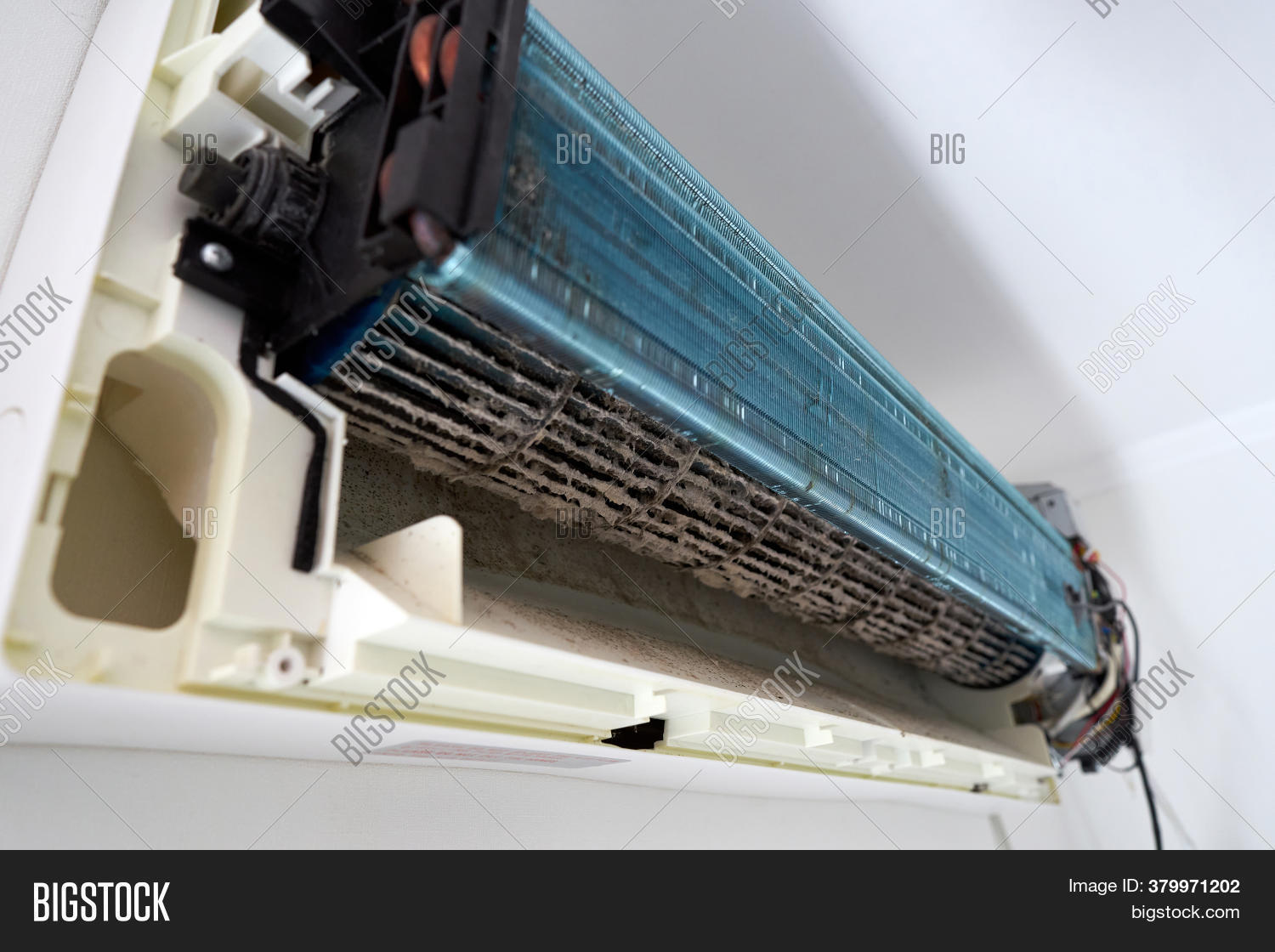 Dust, Dirt Mold On Fan Image & Photo (Free Trial) | Bigstock