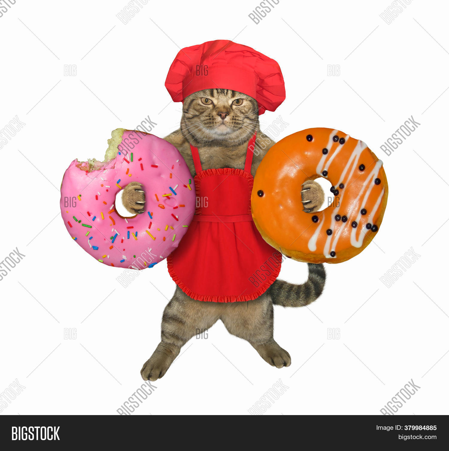 Beige Cat Baker Red Image & Photo (Free Trial) | Bigstock