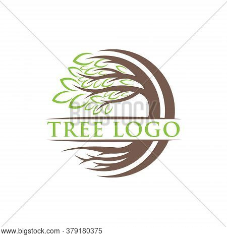 Tree. Tree Logo. Tree Vector & Photo (Free Trial) | Bigstock