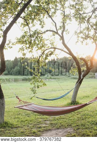 Hammock Images, Illustrations & Vectors (Free) - Bigstock