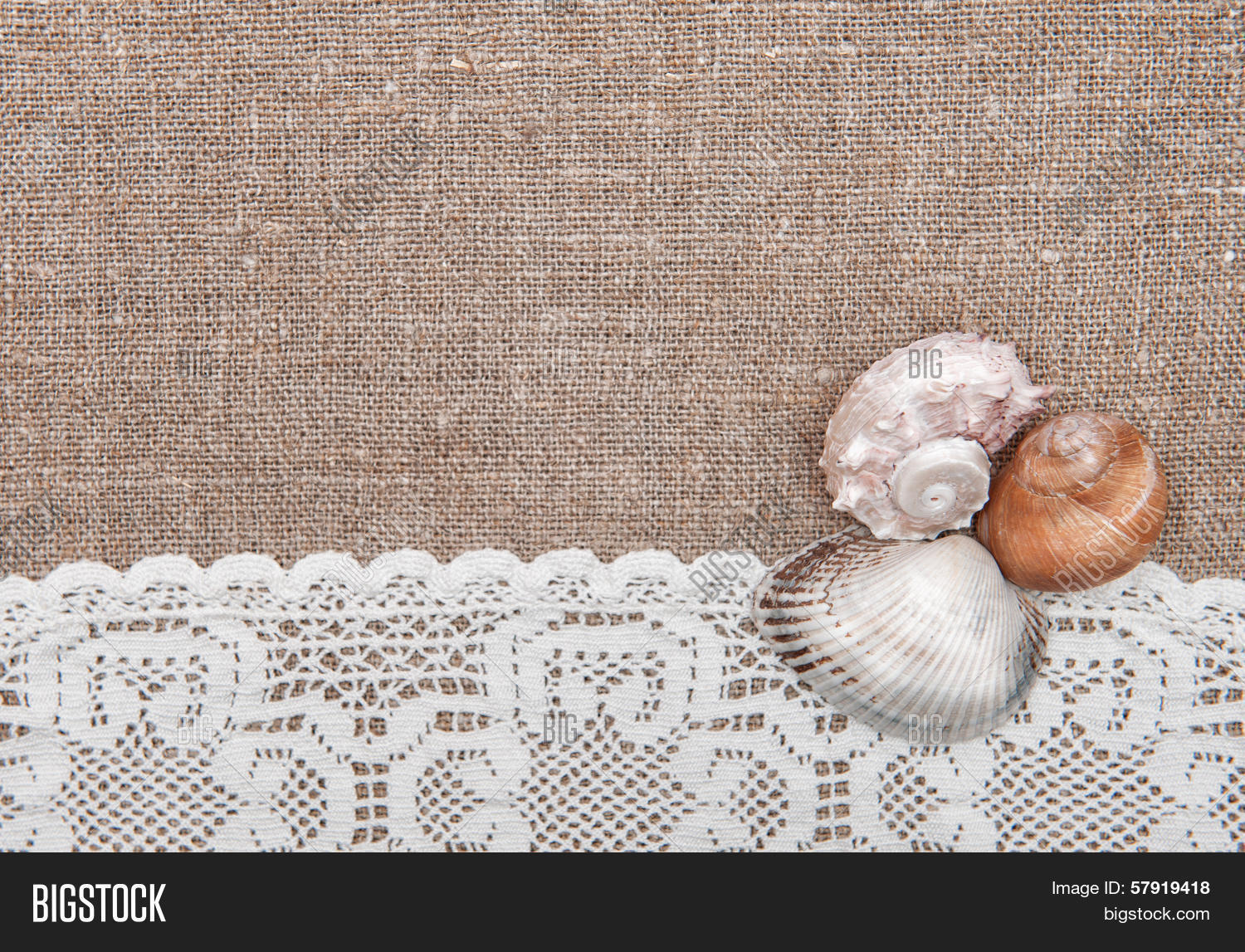 Seashells On Lacy Image & Photo (Free Trial) | Bigstock