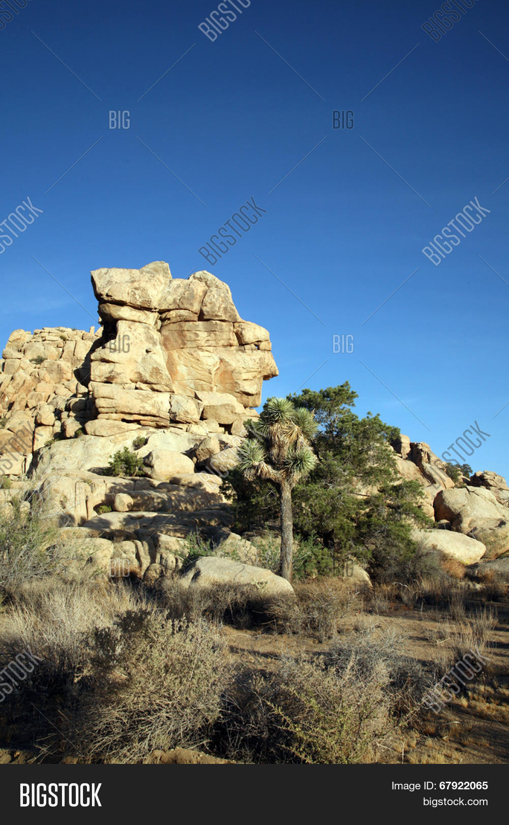 Rock Formation Face Image & Photo (Free Trial) | Bigstock