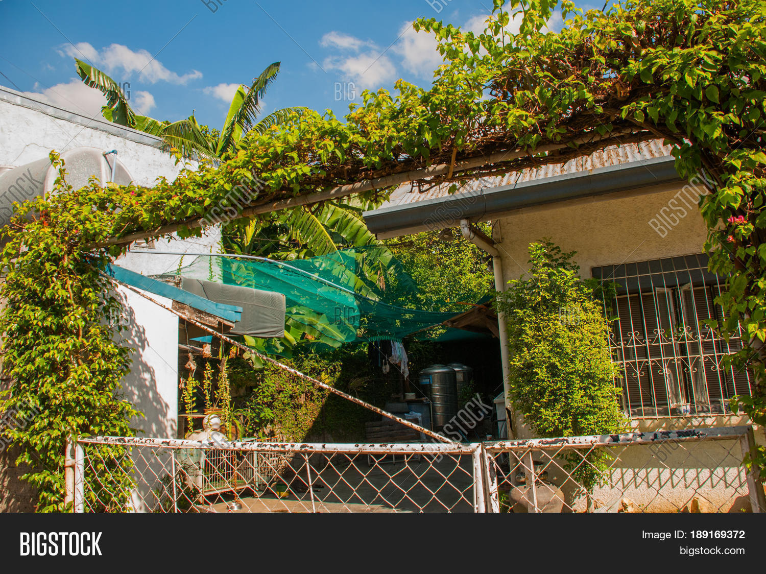 Local Street Houses. Image & Photo (Free Trial) | Bigstock