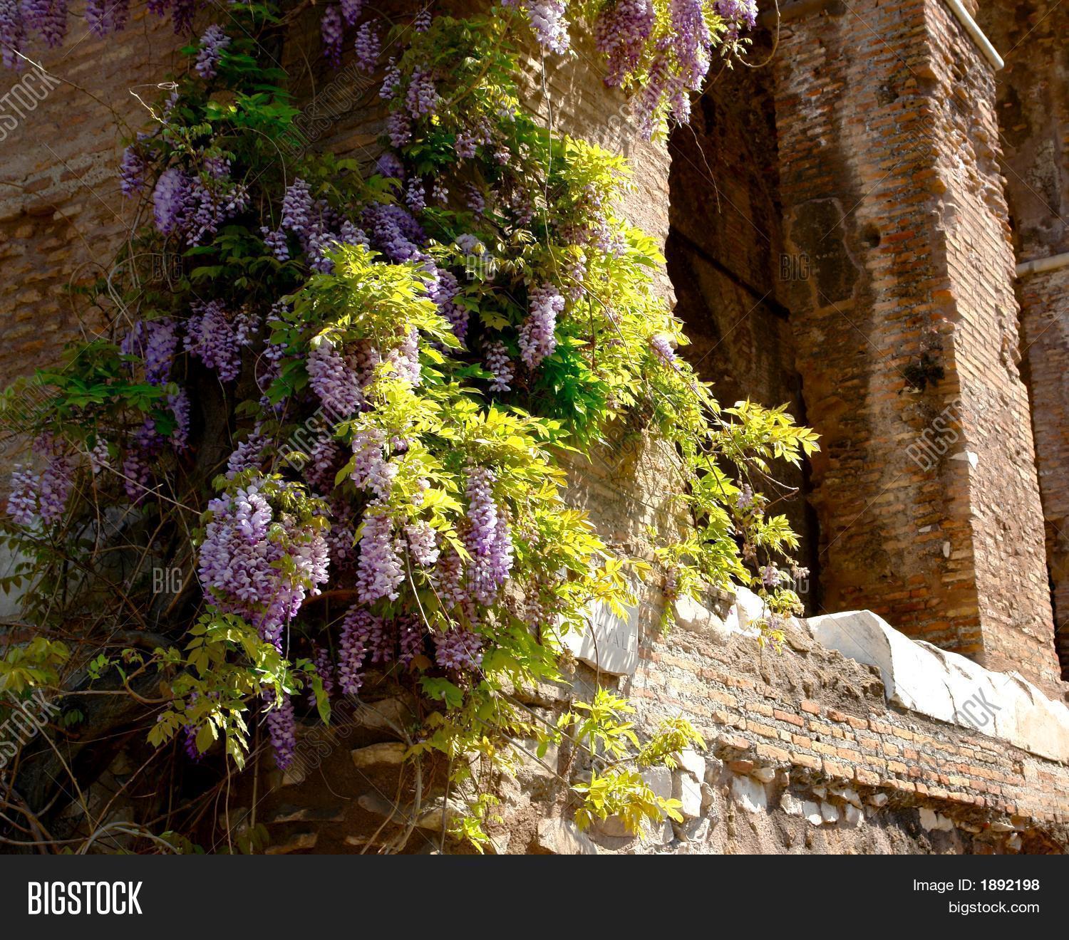 Spring Rome Image & Photo (Free Trial) | Bigstock