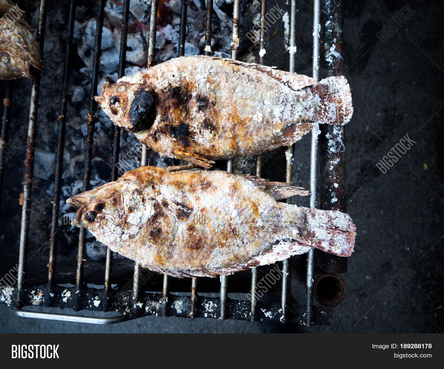 Pomegranate Fish Salt Image & Photo (Free Trial) | Bigstock