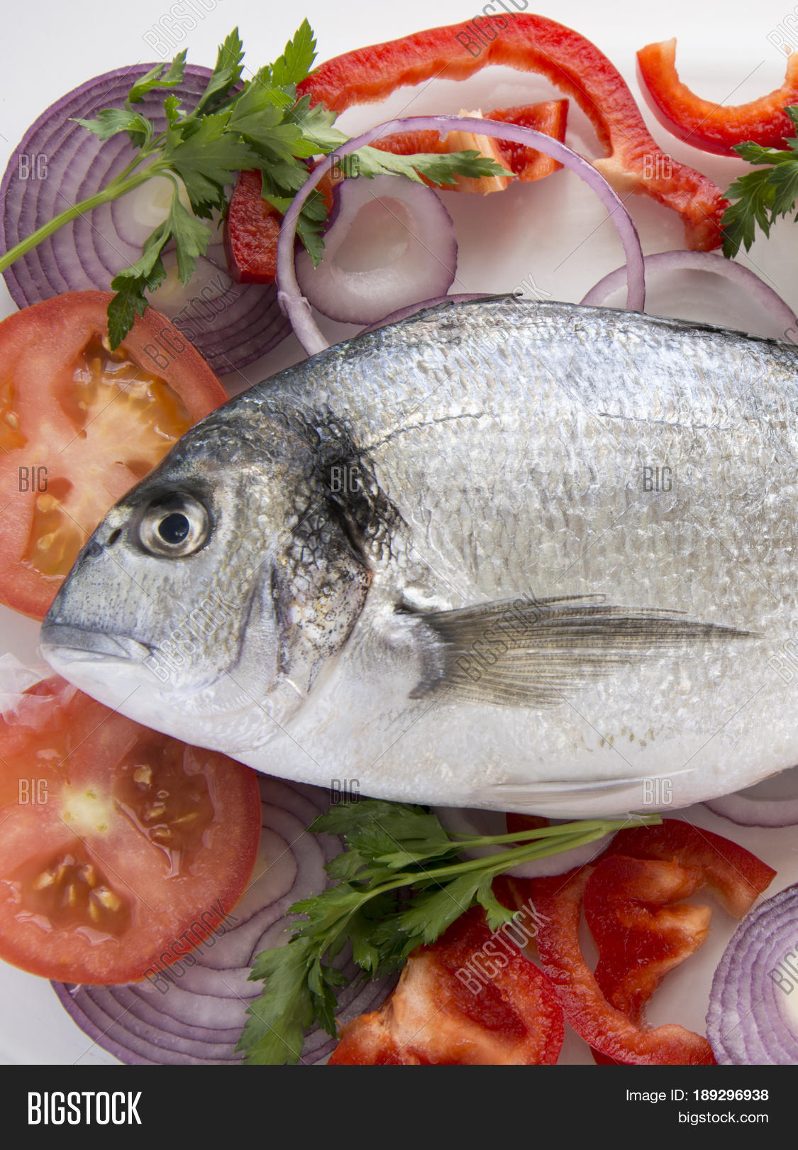 Dorado Fish Image & Photo (Free Trial) | Bigstock