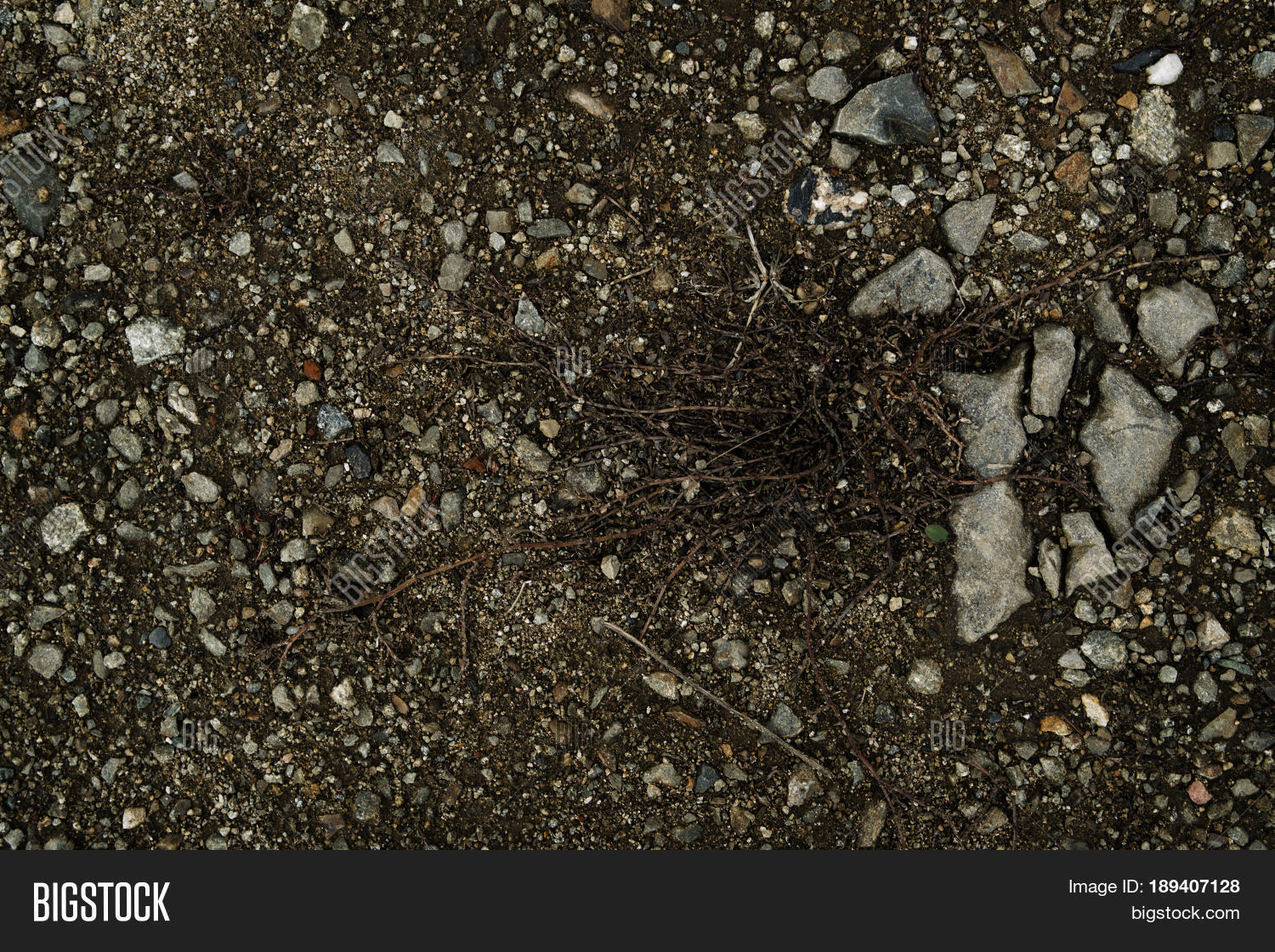 Soil, Soil Background Image & Photo (Free Trial) | Bigstock