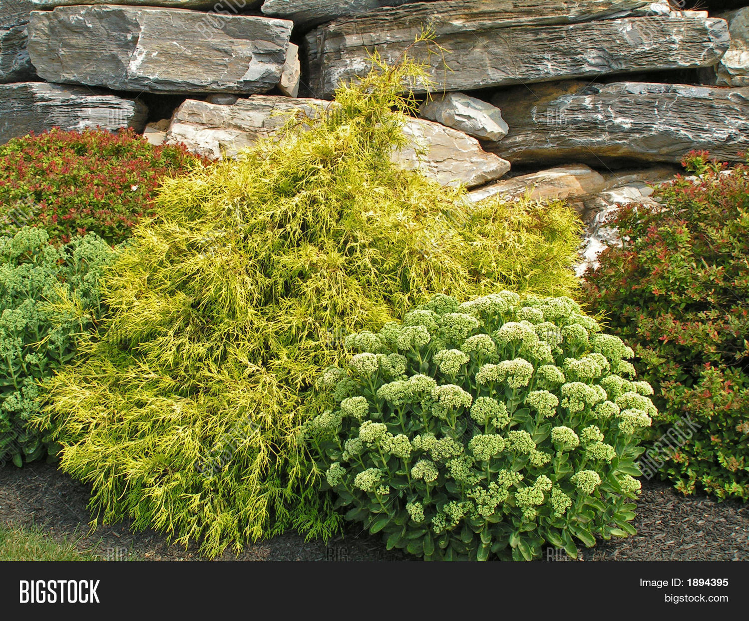 Close Boulder Wall Image & Photo (Free Trial) | Bigstock