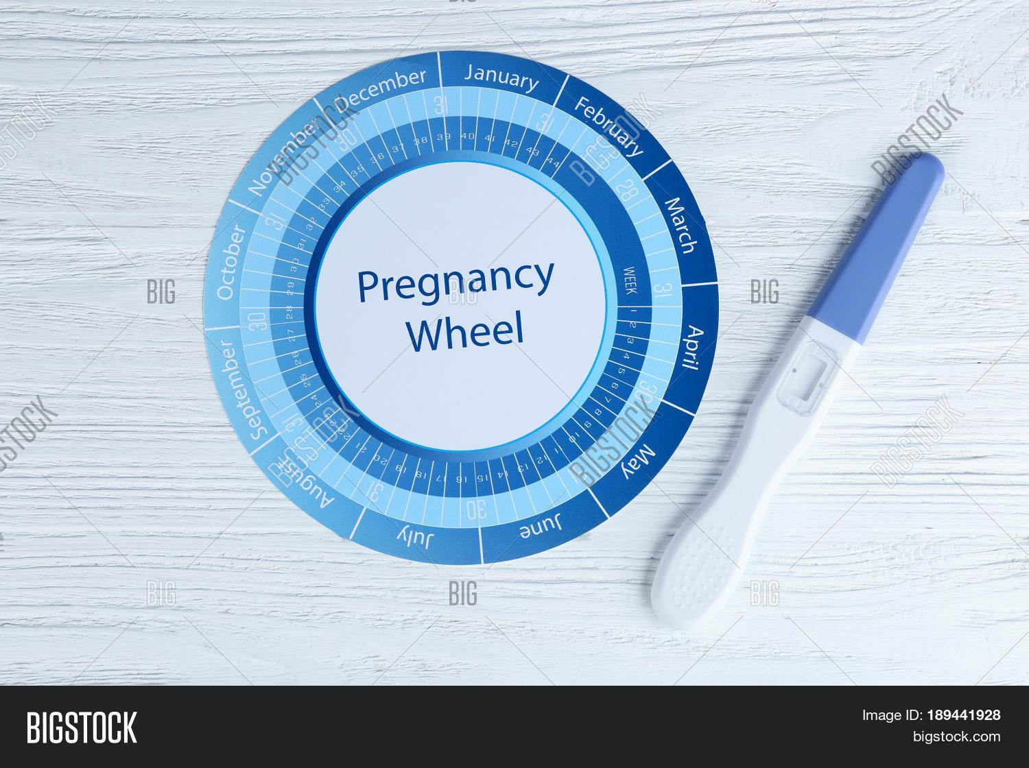 Pregnancy Wheel Image & Photo (Free Trial) | Bigstock