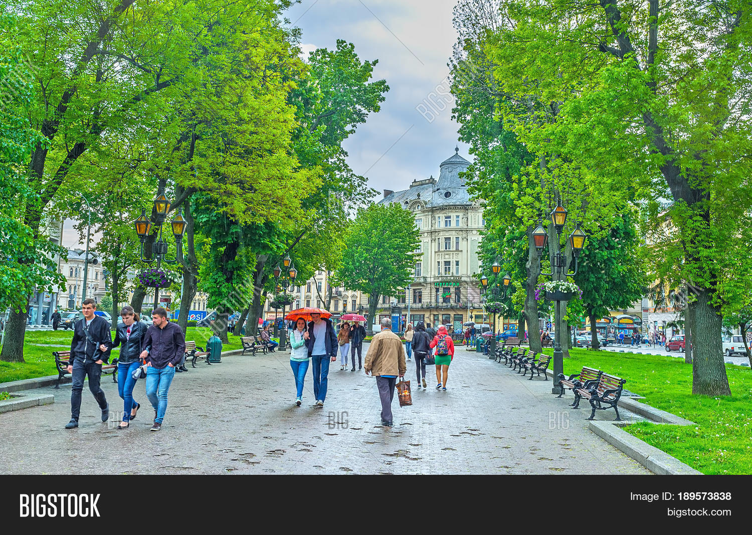Rain Park Image & Photo (Free Trial) | Bigstock