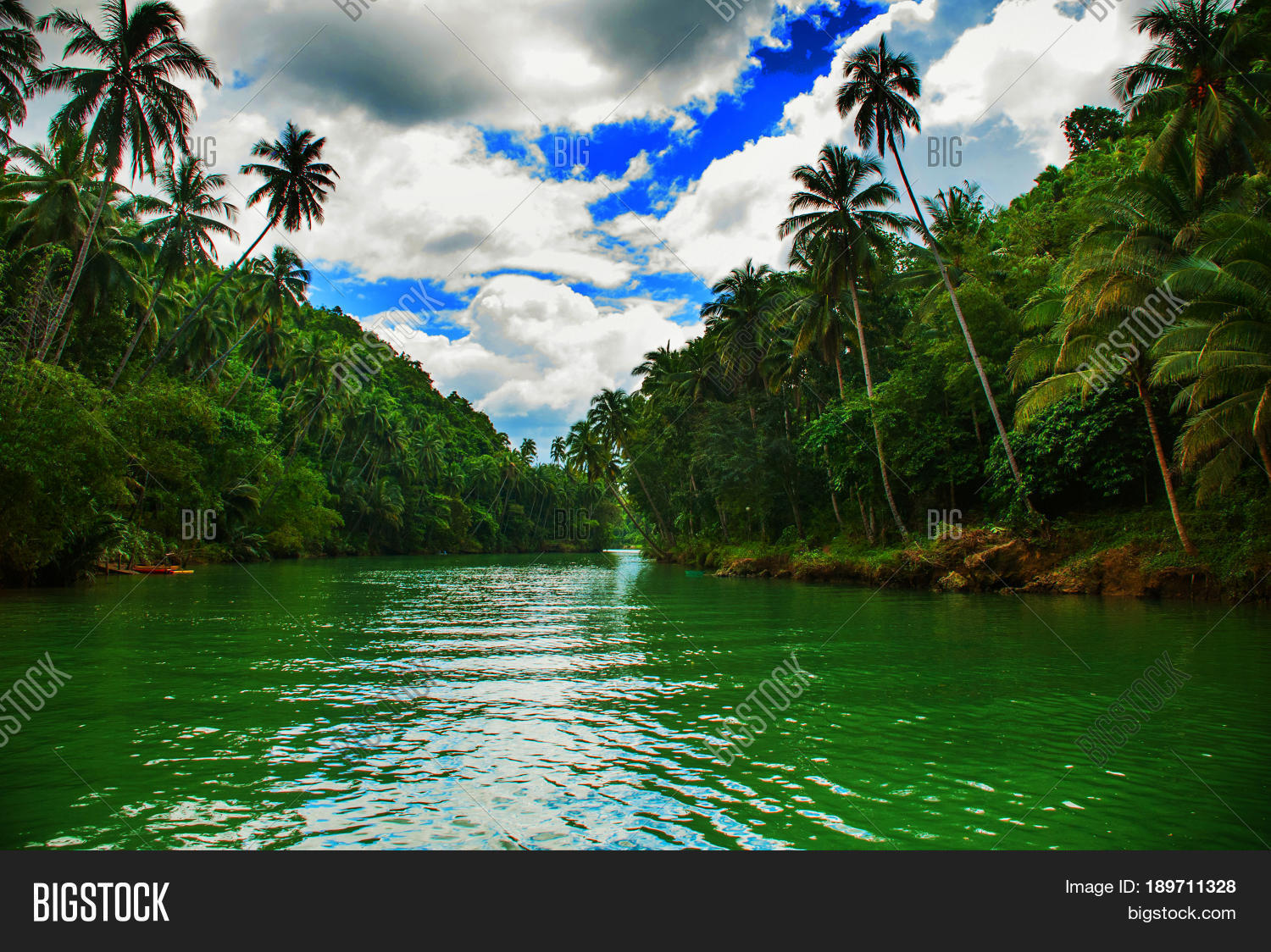 River Palm Trees, Image & Photo (Free Trial) | Bigstock