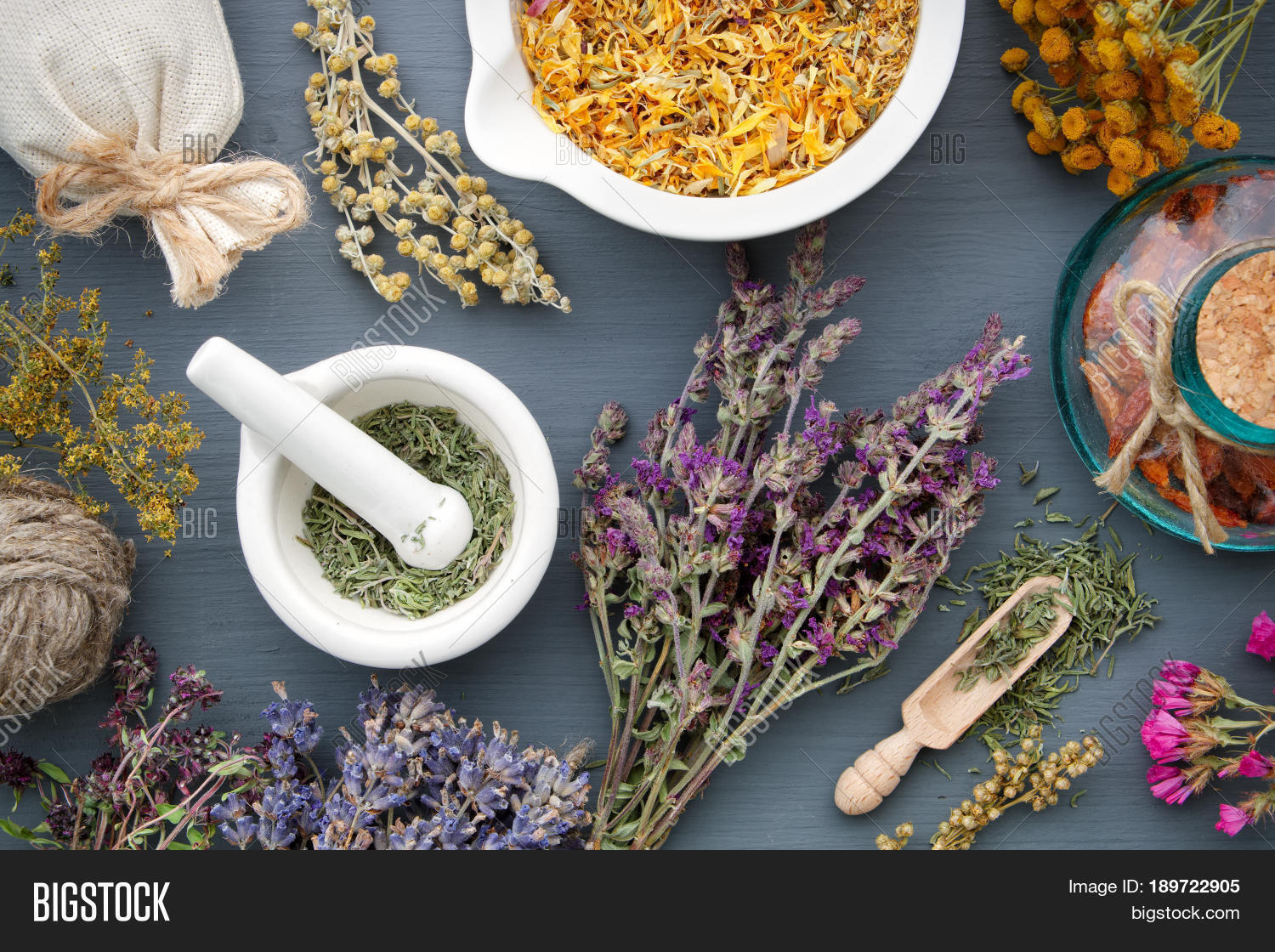 Medicinal Herbs, Image & Photo (Free Trial) | Bigstock