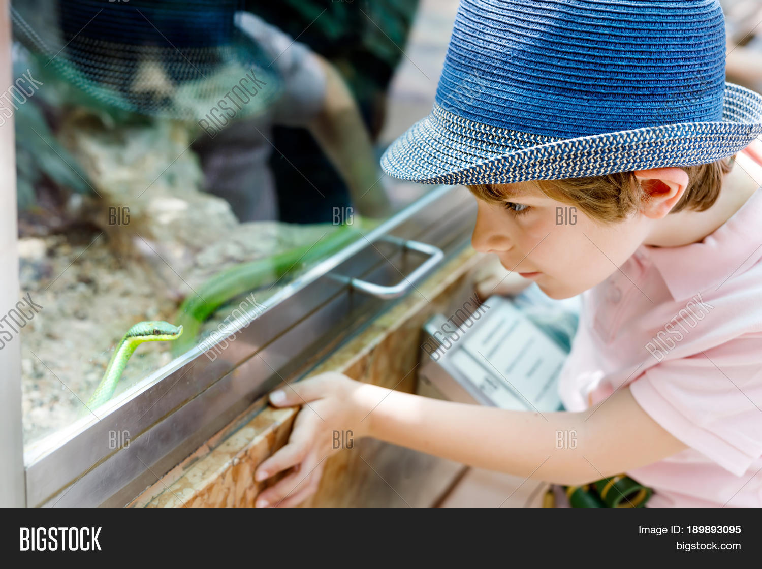 Little Kid Boy Admire Image & Photo (Free Trial) | Bigstock