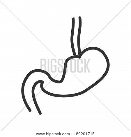 Stomach Linear Icon. Vector & Photo (Free Trial) | Bigstock