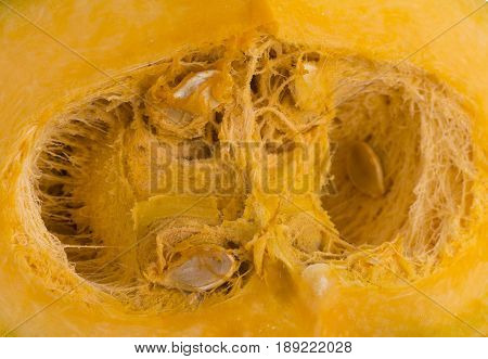 Inside Pumpkin Seed Image & Photo (Free Trial) | Bigstock