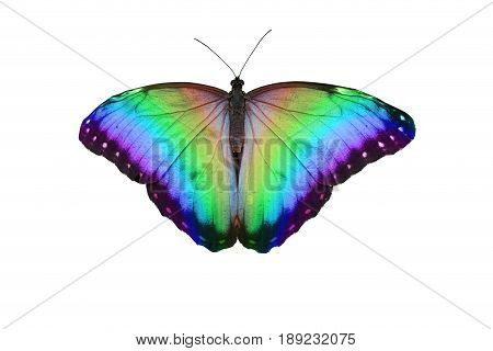 Rainbow Butterfly - Image & Photo (Free Trial) | Bigstock