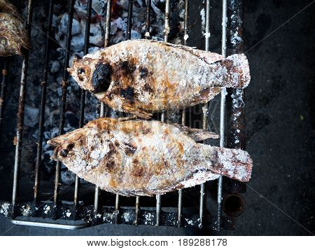 Pomegranate Fish Salt Image & Photo (Free Trial) | Bigstock