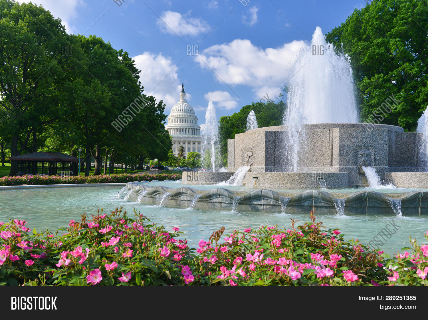 Washington DC Spring Image & Photo (Free Trial) | Bigstock