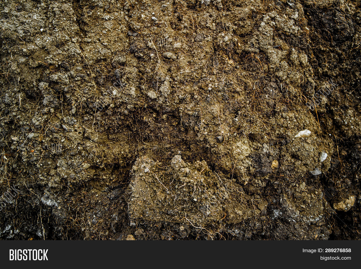 Closeup Soil Texture. Image & Photo (Free Trial) | Bigstock
