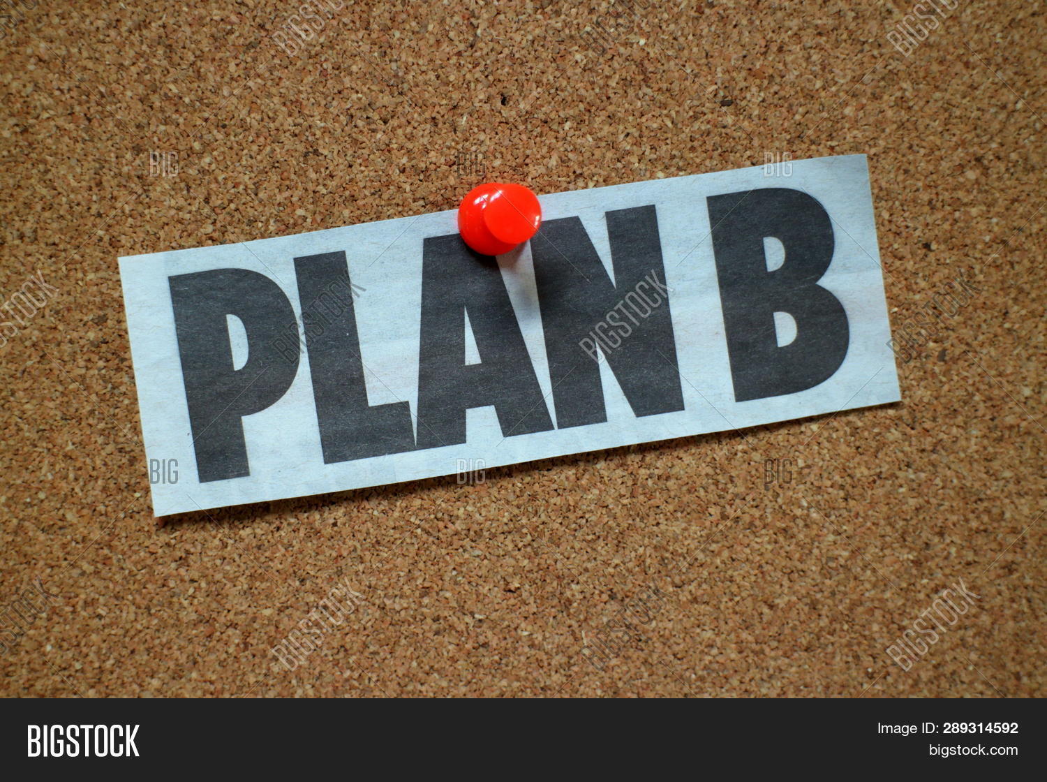 Words Plan B On Image & Photo (Free Trial) | Bigstock
