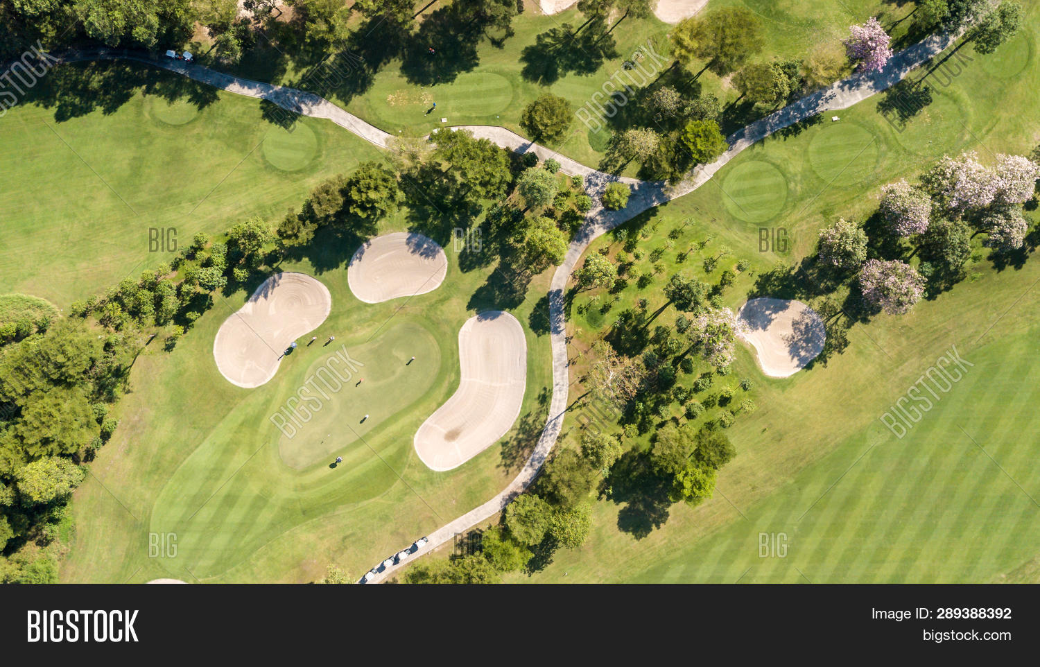 Aerial View Golf Image & Photo (Free Trial) | Bigstock